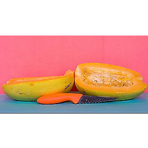 EasyWare Kitchen Co. Spaghetti Squash Knife - Butternut Squash - Acorn Squash - 4 inch Stainless Steel Extra Stiff Blade - Squash Tool - Pumpkin Carving