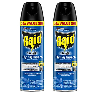 Raid Flying Insect Killer Lawn and Garden 20 Ounce (Pack of 2)