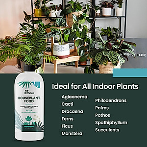 16oz Houseplant Fertilizer, All Purpose Indoor Plant Food - Makes 87+ Gallons, Indoor Plant Fertilizer for Fiddle Leaf Fig Tree, Pothos and More, 6-2-4 NPK, Concentrated Fertilizer for Indoor Plants