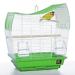 Prevue Pet Products South Beach Wave Top Bird Cage, Lime Green (SP50081)
