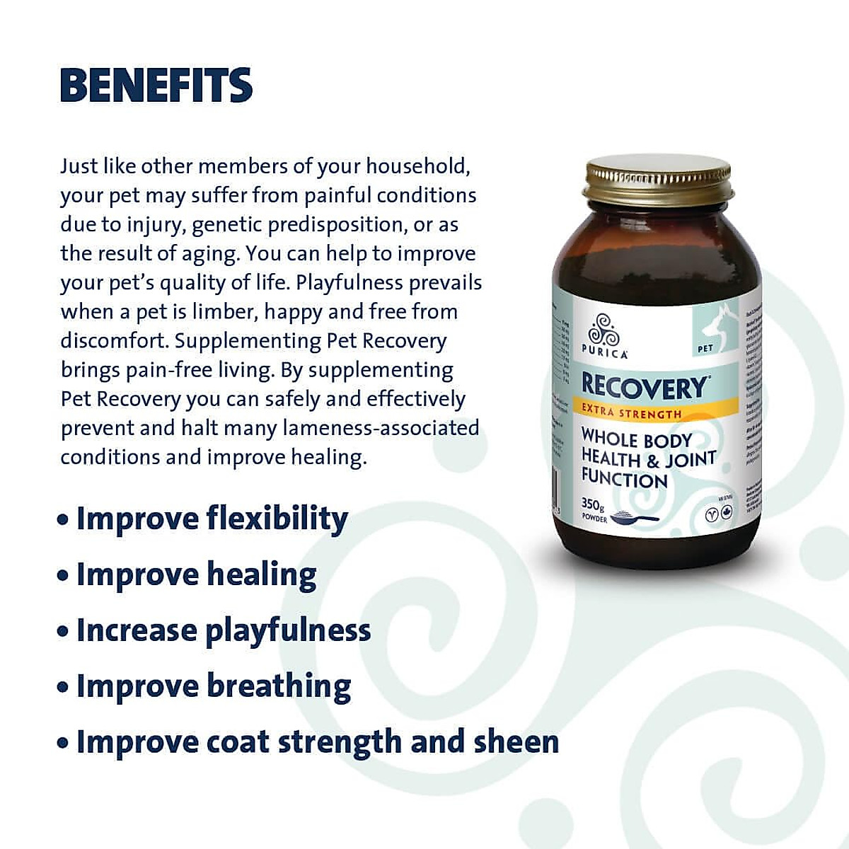 PURICA Recovery SA Powder 350g - Advanced Support for Joints, Comfort & Mobility in Dogs & Cats - Natural & Safe Supplement