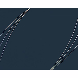 Cosco Petal Touch Premium Certificate Cover, Blue
