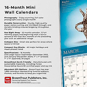Yoga Kittens OFFICIAL | 2024 7 x 14 Inch Monthly Mini Wall Calendar | BrownTrout | Animals Humor Cats Feline