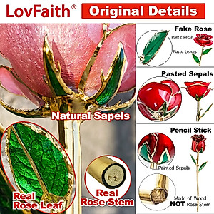 LovFaith Real Rose Dipped 24K Gold, with Crystal Vase, Gift for Her mom Wife Mother Day Anniversary Valentines Day