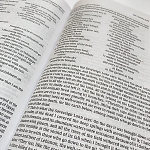 Hand Lettered and Laser Engraved NIV Passaggio Bible, Brown, Custom Name Engraving Available, Personalized Gift for Wedding, Baptism, Graduation or Birthday