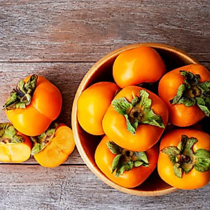 QAUZUY GARDEN 5 Seeds Persimmon Seeds Diospyros virginiana Fruit Tree Seeds Perennial- Non-GMO Seeds- Easy to Grow- Grow Your Own Delicious Persimmon Tree