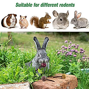 RUNANIA 20 Pcs Rabbit Chew Toys for Teeth, Natural Wood Sticks Timothy Chew Toys for Rabbit Bunny Guinea Pig Hamster Chinchilla