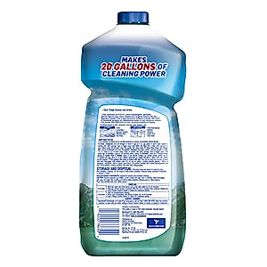 Lysol Multi-Surface Cleaner, Sanitizing and Disinfecting Pour, to Clean and Deodorize, Cool Adirondack Air, 40oz