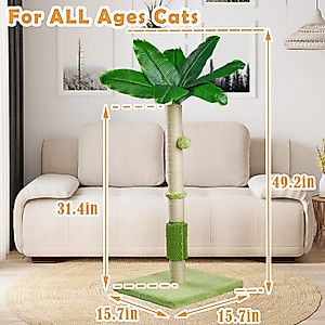 MeowHomm 40" Tall Cat Scratching Post,Cat Bird of Paradise Palm Tree for Indoor Cats with Natural Sisal Scratch Pole Hanging Sisal Ropes and Balls