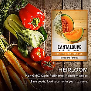 Cantaloupe Seeds for Planting - Hales Best Jumbo Heirloom, Non-GMO Vegetable Variety- 1 Gram Approx 45 Seeds Great for Summer Melon Gardens by Gardeners Basics