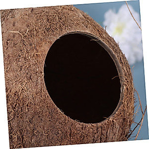 BUGUUYO Coconut Shell Nest for Birds Bird Toys Coconut House Nest for Parrots Bird Nest for Small Pets Bird House
