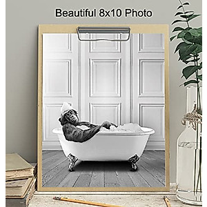 Funny Bathroom Decor for Men, Women - Cute Modern Bathroom Accessories - Bathroom Pictures - Bath Wall Decor - Monkey Chimp Wall Art - Cool Unique Bathroom Sign - Powder Room - Guest Bathroom Poster