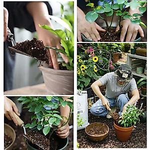 Doter Organic Potting Soil Mix for All Indoor & Outdoor Small Containers Including Herbs, Vegetables, and Flowers 1 qt