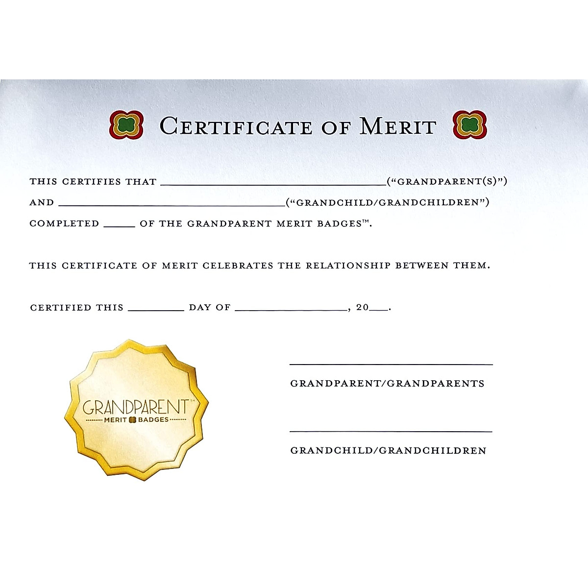 GRANDPARENT MERIT BADGES Kit First Edition - Best Gift idea! Fun with Grandkids Using This Keepsake Activity Journal. 18 Activity Journal Pages,Merit Badge Stickers and Certificate of Merit