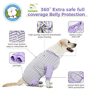 LovinPet Dog Surgery Recovery Suit - Professional Large Dog Recovery Suit Abdominal Wound Surgical Clothes Post-Operative Vest E-Collar Alternative Recovery Shirt Cut-Out Design of Abdomen,L