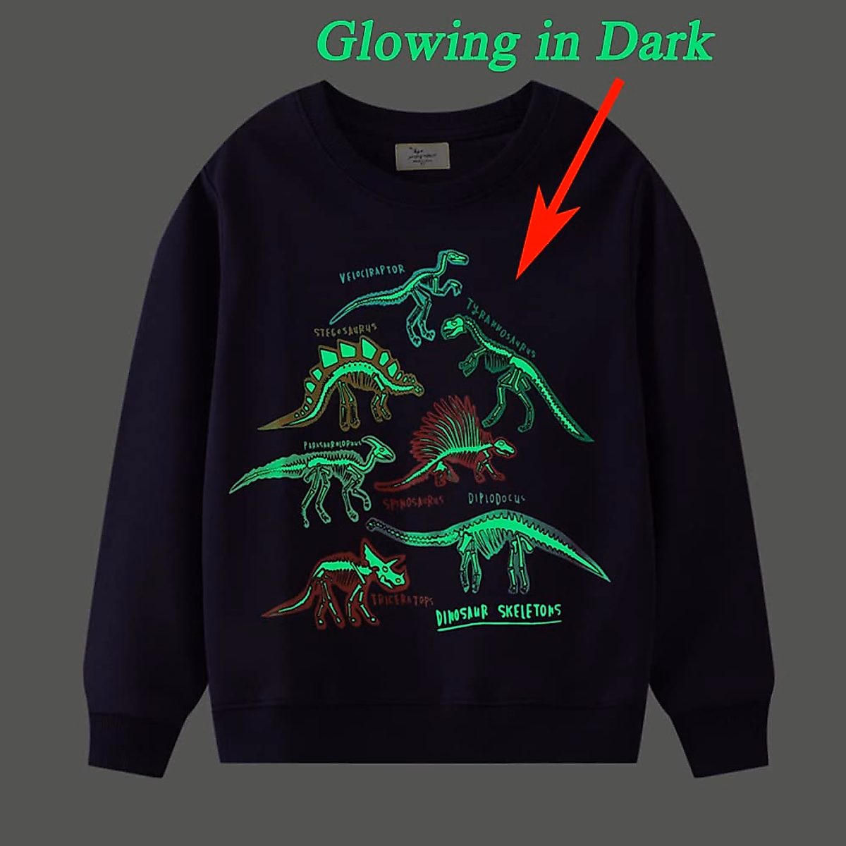 Toddler Boy Dinosaur Halloween Sweatshirts Dino Skeleton Glowing Shirts Long Sleeve T-Rex Bones Graphic Pullover Tops for Kids 4t/8154