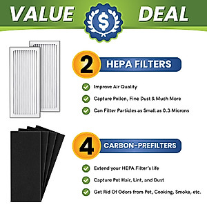 GOFIL 2 Pack Replacement Filter Includes 2 HEPA & 4 Carbon Pre-filters Compatible with Air Purifiers Model 04383, 04384, 04385, 04386, Part # 990051000