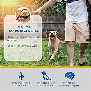 Ayush Pet Stress Support Ashwagandha Drops, Calm and Focus for Dogs or Cats, Alcohol Free Supplement, 2 oz.