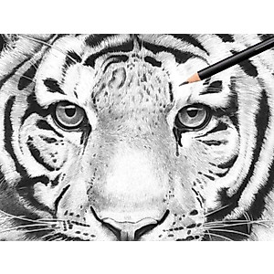 Pencil Buddies Sketch Pencils for Drawing, Triangular Drawing Pencils Set, 12 Pack Art Pencils for Drawing & Shading, Graphite Shading Pencils for Sketching, Adults & Kids, 8B-6H