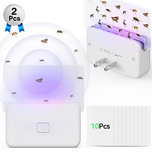 Cube-Shaped UV Light Fruit Fly Trap Sleek Design Plug-in Fly Trap for Flies, Fruit Flies (2 Device with 10 Refill Cards)