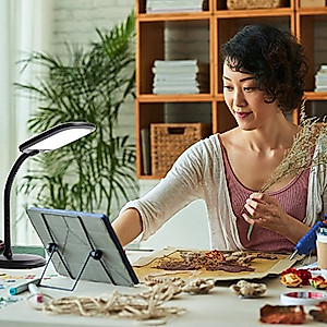 Newhouse Lighting NHDK WH Eos Reading & Craft Table LED Desk Lamp, Dimmable &Light Color Adjustable, Gooseneck Task Light, Black (NHDK-EO-BK)