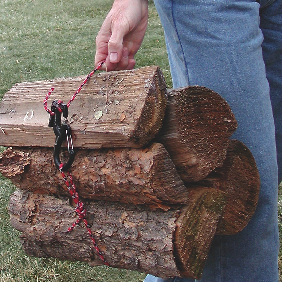 LG Figure 9 Carabineer