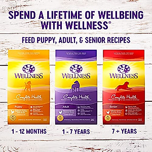 Wellness Complete Health Large Breed Dry Dog Puppy Food with Grains, Natural Ingredients, Made in USA with Real Meat (Puppy, Chicken, Salmon & Rice, 30-Pound Bag)