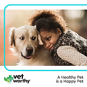 Vet Worthy Wild Alaskan Salmon Oil Blend for Dogs - Dog Supplement to Support Healthy Skin and Beautiful Coat - Fish Oil Supplement with EPA, DHA, and Omega 3 Fatty Acids - Salmon Flavor, 15.5oz