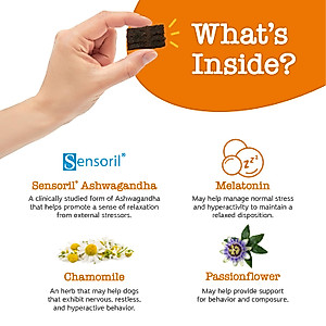 Zesty Paws Flavored Soft Chews - Calming for Dogs Anxiety Composure Relief with Ashwagandha Melatonin Chamomile Passionflower Dog Stress Separation Aid for Fireworks and Thunder 20 oz…