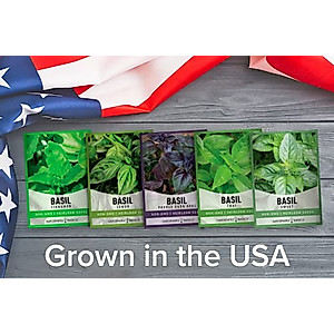 Basil Seeds for Planting Home Garden Herbs - 5 Variety Herb Pack Thai, Lemon, Cinnamon, Sweet and Dark Opal Basil Seeds Herb Seeds for Indoors, Outdoors, Hydroponics & Aquaponic by Gardeners Basics