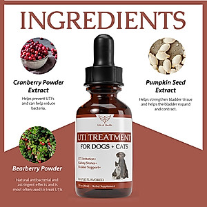 Cat & Dog Urinary Tract Infection Treatment - Helps with Bladder, Kidney, Incontinence, & More - Cat UTI - Dog UTI Treatment - Feline UTI Treatment - Cat UTI Remedy - Dog UTI - 1 fl oz