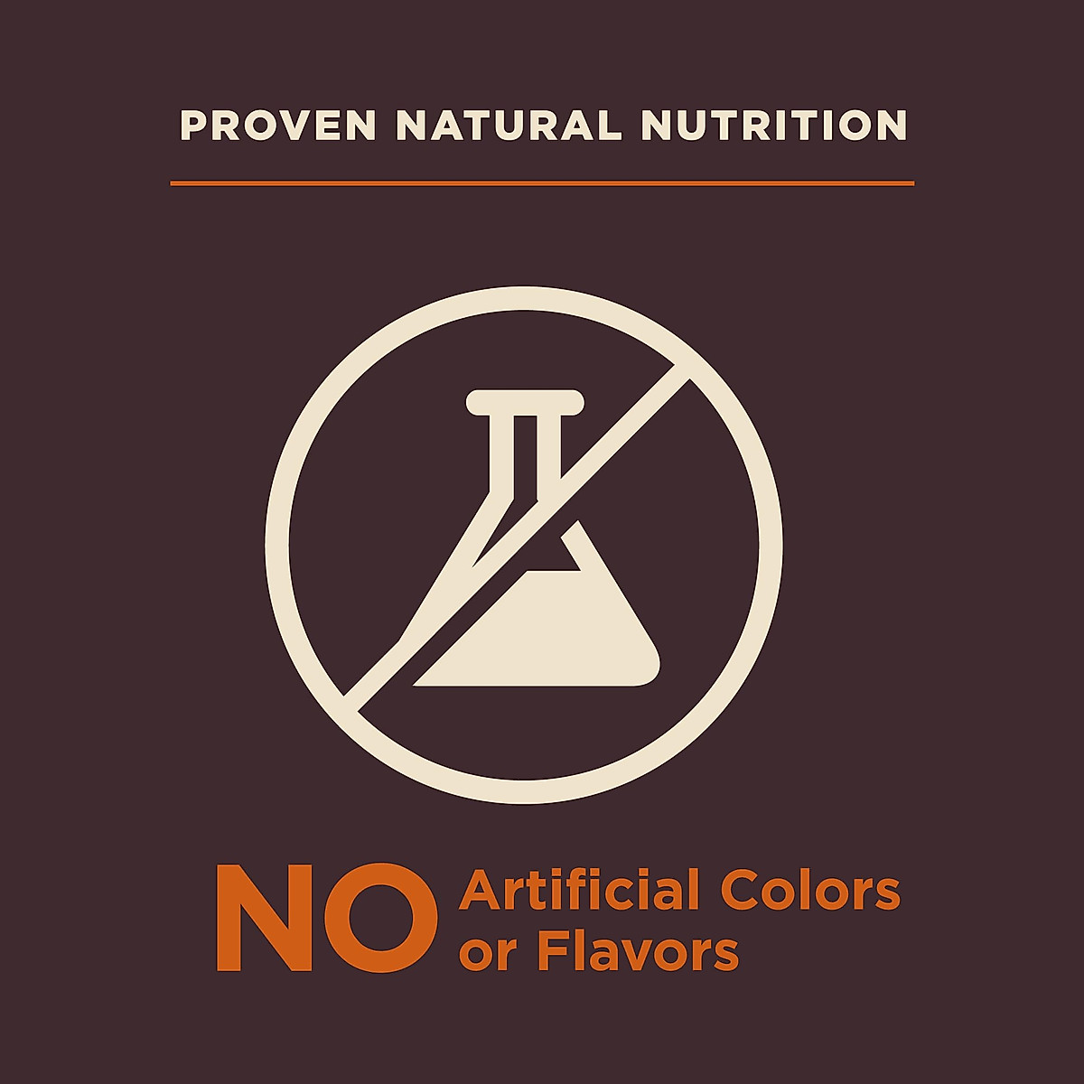 Wellness CORE Digestive Health Dry Dog Food with Wholesome Grains, Highly Digestible, for Dogs with Sensitive Stomachs, Made in USA with Real Chicken (Adult, 4-Pound Bag)