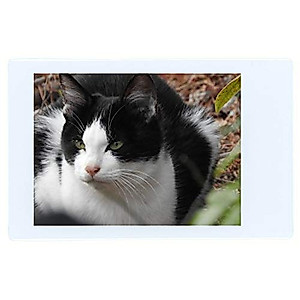 Fujifilm Instax Mini Instant Film, 10 Sheets of 5 Pack × 2 (100 Sheets)