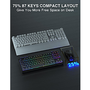 GOYIGO Mechanical Keyboard Clicky Blue Switches,75% TKL RGB Backlit Gaming Keyboard,Full Keys Anti-ghosting Programmable,USB-C Wired Computer Keyboards for PC/Mac,Black