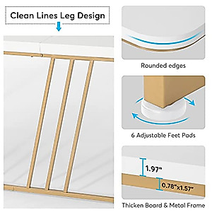 LITTLE TREE 63 inches Executive, Home Office Computer Desk Modern Glod Large Conference Table with Metal Frame, Gold & White