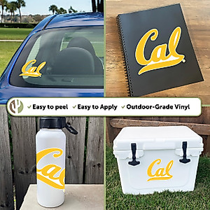 Desert Cactus Berkeley University Sticker of California Golden Bears Vinyl Decal Laptop Water Bottle Car Scrapbook (IND 00002a)