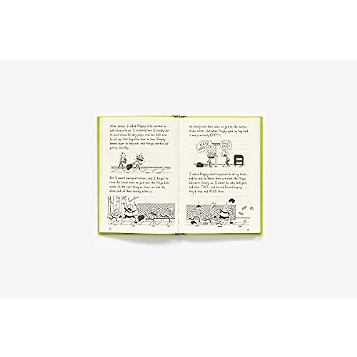 Hard Luck (Diary of a Wimpy Kid #8)