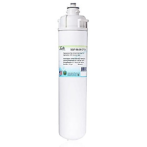 Swift Green Filters SGF-96-29 CTO-S Compatible Commercial Water Filter for EV9617-26, EV9617-21 (2 Pack),Made in USA