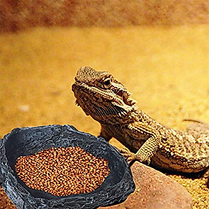 Tfwadmx Resin Reptile Food Bowls, Reptile Rock Feeder Dish, Amphibian Water and Food Bowls with Feeding Tweezers Tong for Leopard Gecko Lizard Frog Snake Chameleon Tortoise
