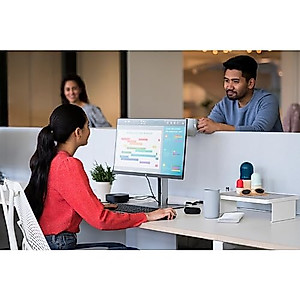 HP EliteDisplay E24 G4 24 Inch IPS LED Backlit, FHD 1920 x 1080, Blue Light Filter, HDMI, VGA, DisplayPort Monitor (Renewed)