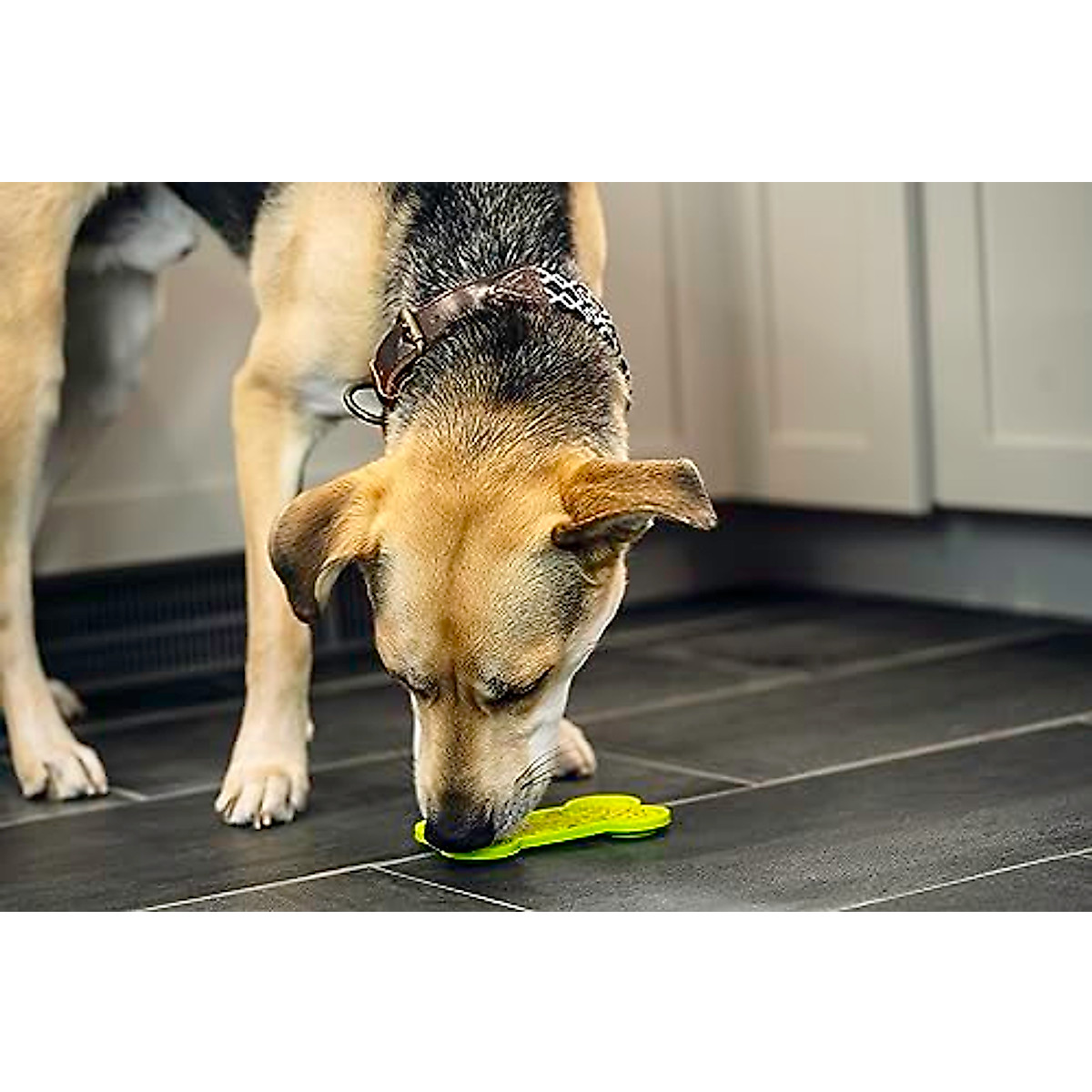 Pet Naturals Calm and Busy Pack with 6 Pouches of BusyButter Calming Peanut Butter and Premium Lick Mat with Suction Cups