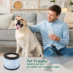 Asheviller C102 Filter Replacement, Compatible with Okaysou AirMic4S and Miko C102 IBuki Air Purifier, 2 Pack