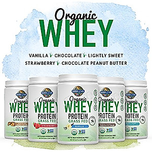 Garden of Life Whey Protein Powder Chocolate Peanut Butter, 21g Certified Organic Grass Fed Protein for Women & Men + Probiotics - 12 Servings - Gluten Free, Kosher, Humane, RBST & rBGH Hormone Free