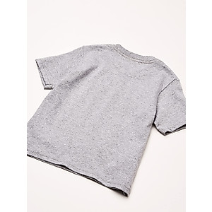 Sesame Street boys Sesame Street Short Sleeve T-shirt - Elmo, Cookie Moster T Shirt, Gray, 4 US