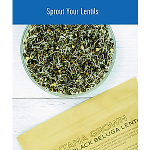 Lentils | Black Beluga | 4 lb Bag | Non-GMO | Kosher | Vegan | Non-Irradiated