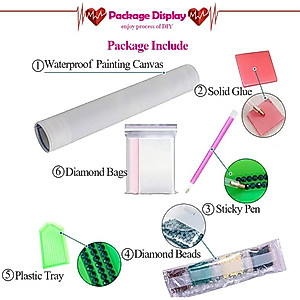 Eiazuiks Diamond Painting Kits for Adults, Flowers Girl 5D DIY Diamond Art Kits Full Drill Diamond Dots for Gift Wall Decor Gem Arts 12x16 inch