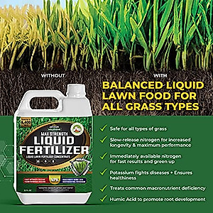 PetraTools Liquid Dethatcher (32oz) and Liquid 16-4-8 Lawn Fertilizer (32 oz)