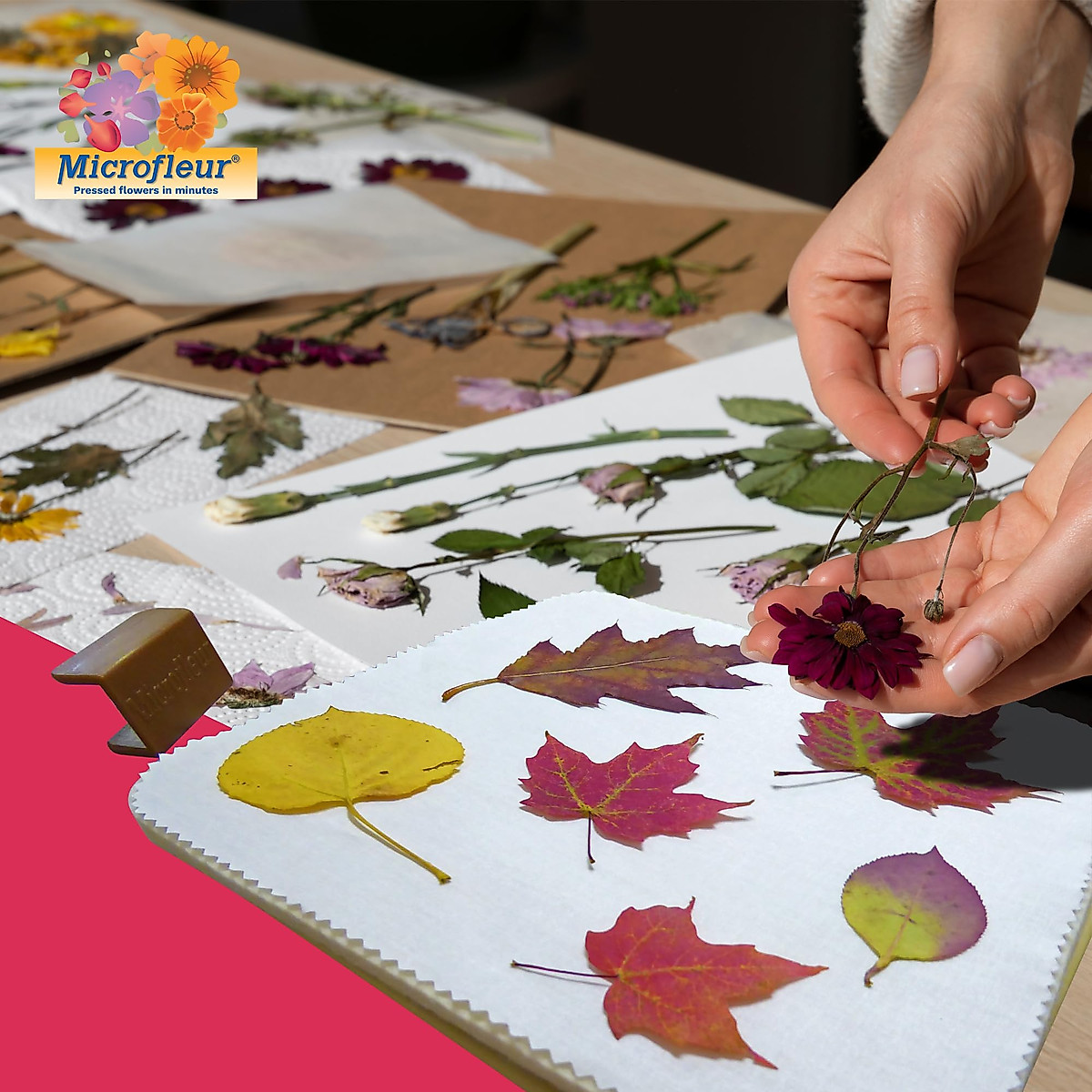 Microfleur 9" (23 cm) Max Microwave Flower Press Kit for pressing flowers and making pressed flowers