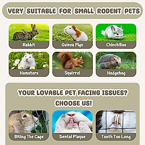 DBLPMF Rabbit Chew Toys,Natural Seagrass Hanging Basket with Sweet Bamboo,Timothy Hay,Water Plant Radish,Apple Sticks for Bunny Chinchillas Guinea Pigs Hamsters Rats Teeth Grinding