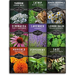 Survival Garden Seeds Medicinal Tea Collection - 9 Non-GMO Heirloom Herbs to Grow in The Vegetable Garden - Chamomile, Lavender, Echinacea, Catnip, Lemon Balm, Marigold, Sage, Peppermint, Red Yarrow